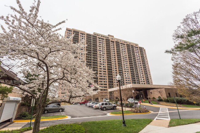 5501 Seminary Rd - 5501 Seminary Rd Falls Church VA 22041 | Apartment ...