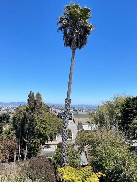 27 Homestead - 27 Homestead San Francisco CA 94114 | Apartment Finder