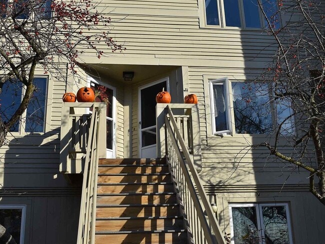 337 College St - 337 College St Burlington VT 05401 | Apartment Finder