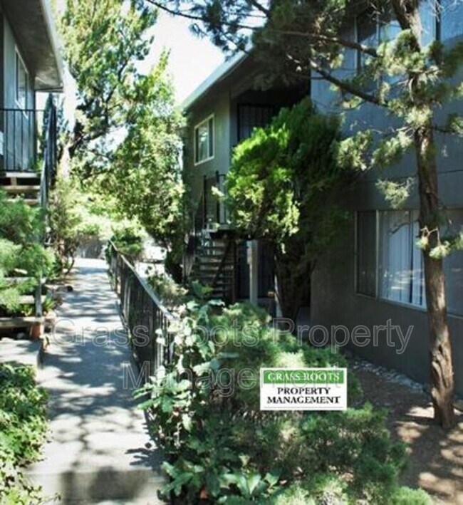 254 Racetrack St - 254 Racetrack St Auburn CA 95603 | Apartment Finder