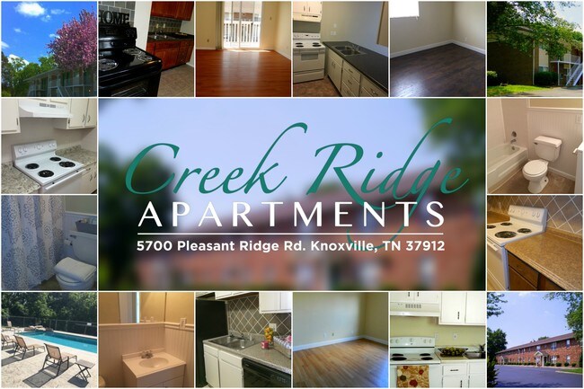 Creek Ridge Apartments - 5700 Pleasant Ridge Rd Knoxville TN 37912 ...