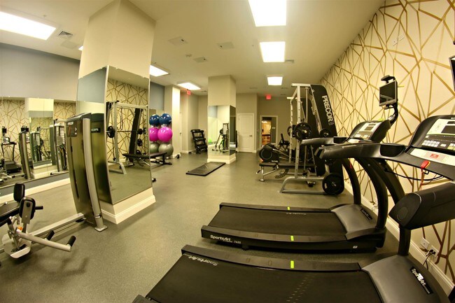 The Law Building - Norfolk, VA | Apartment Finder