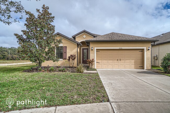 12216 Creek Preserve Drive, Riverview, FL,... - 12216 Creek Preserve Dr ...