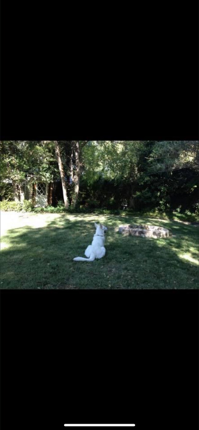 81 Shady Ln - 81 Shady Ln Walnut Creek CA 94597 | Apartment Finder