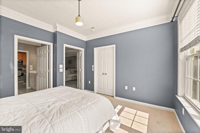 514 Sunset View Ter SE - 514 Sunset View Ter SE Leesburg VA 20175 ...