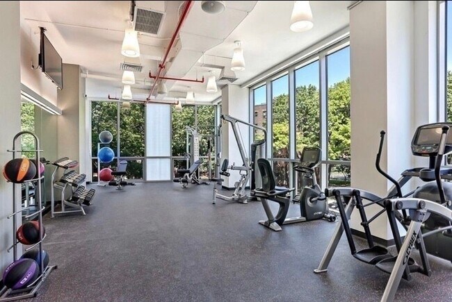 What a day to be alive- amazing city views... - 230 Jay St Brooklyn NY ...