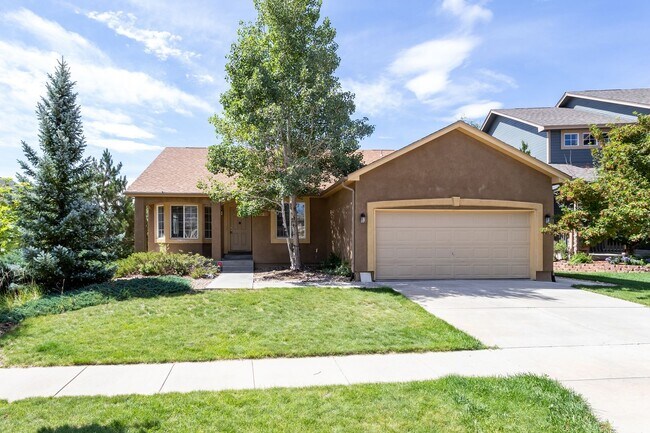 Beautiful Ranch Floor Plan in Wolf Ranch! - 8424 Roaring Fork Dr ...