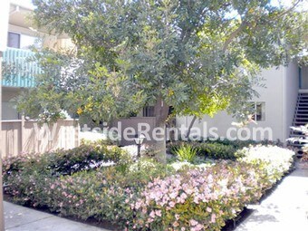 3710 Garnet St - 3710 Garnet St Torrance CA 90503 | Apartment Finder