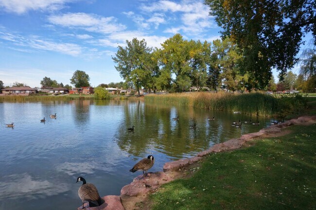 Athmar Park Condo Available Immediately - 370 S Bryant St Denver CO ...