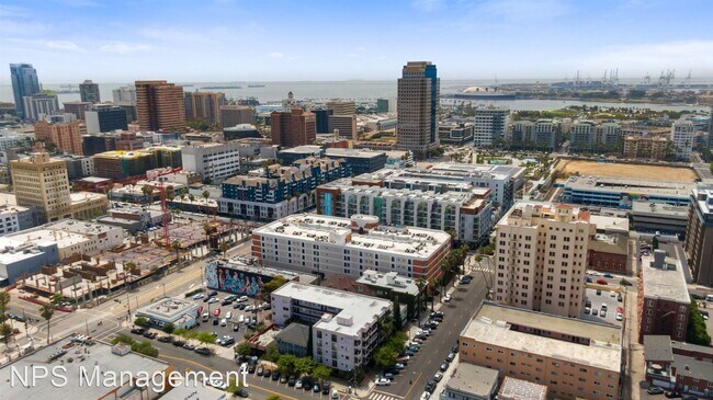 Studio, 1 bath Apartment - 335 Pacific Ave... - 335 Pacific Ave Long ...