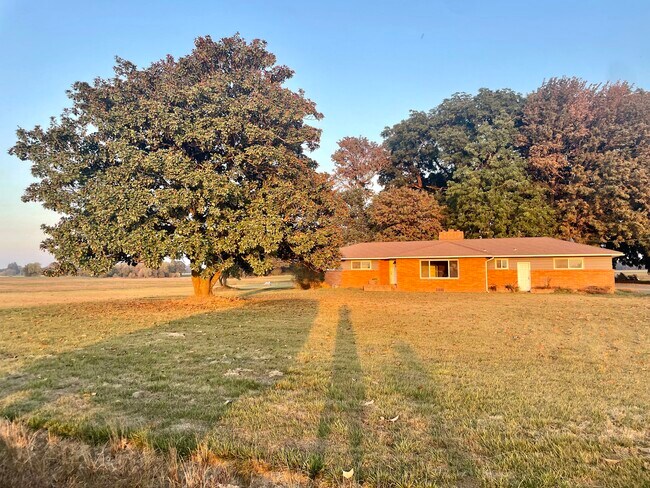 29415 Blueberry Rd - 29415 Blueberry Rd Halsey OR 97348 | Apartment Finder