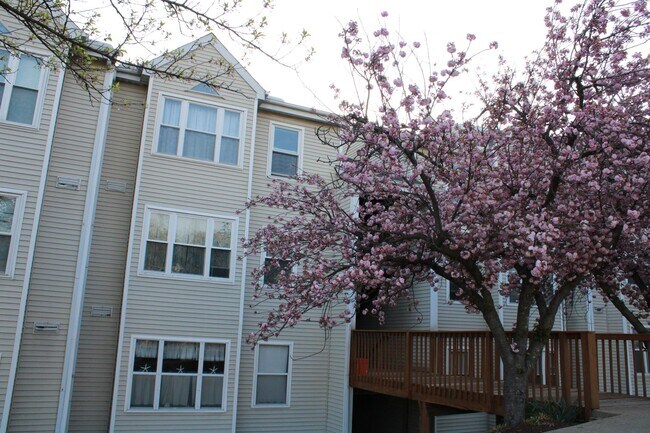 Charming 2 Bedroom/1 Bathroom Condo in Hal... - 20 Deer Run Ct ...