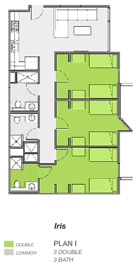 The Quad-Student Housing - 210 E Barham Dr San Marcos CA 92078 ...