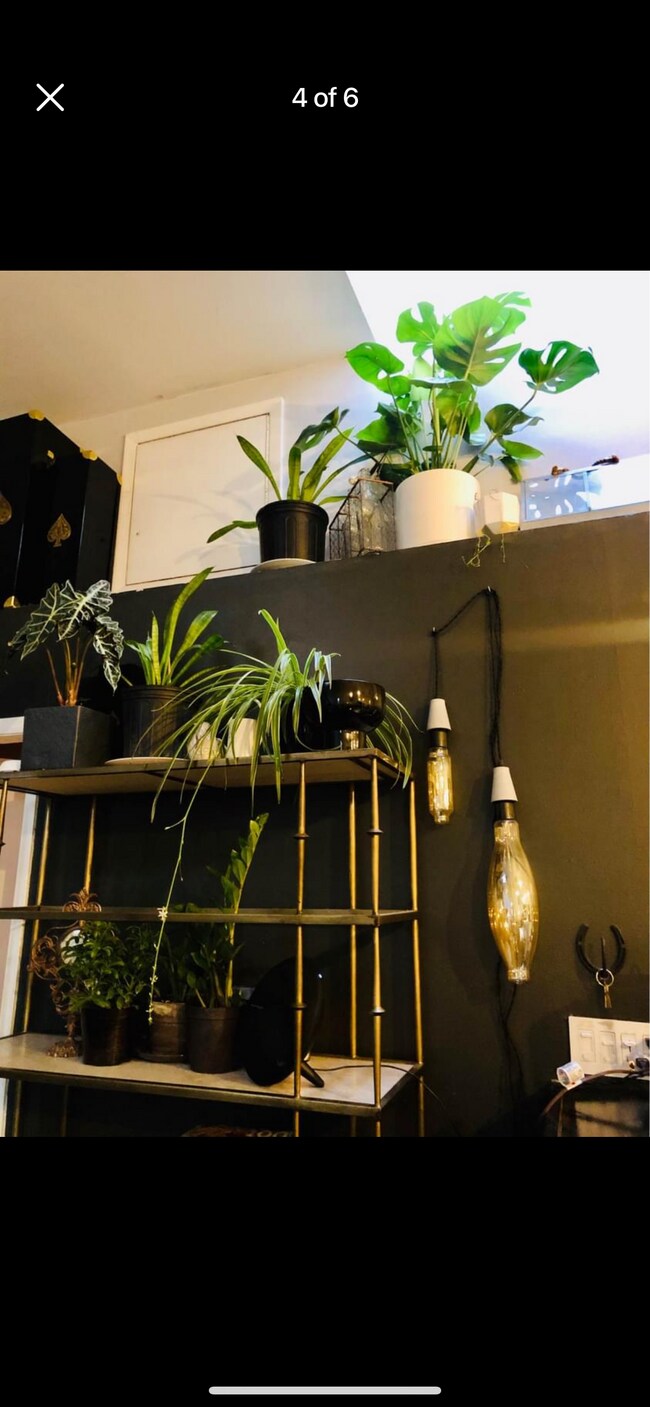 79 Pearl St - 79 Pearl St New York NY 10004 | Apartment Finder