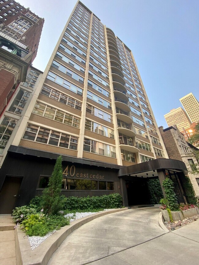 40 E Cedar St - 40 E Cedar St Chicago IL 60611 | Apartment Finder