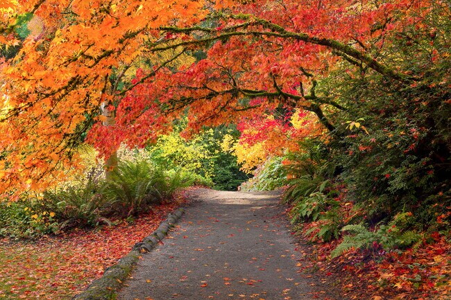 2518 E Calhoun St - 2518 E Calhoun St Seattle WA 98112 | Apartment Finder