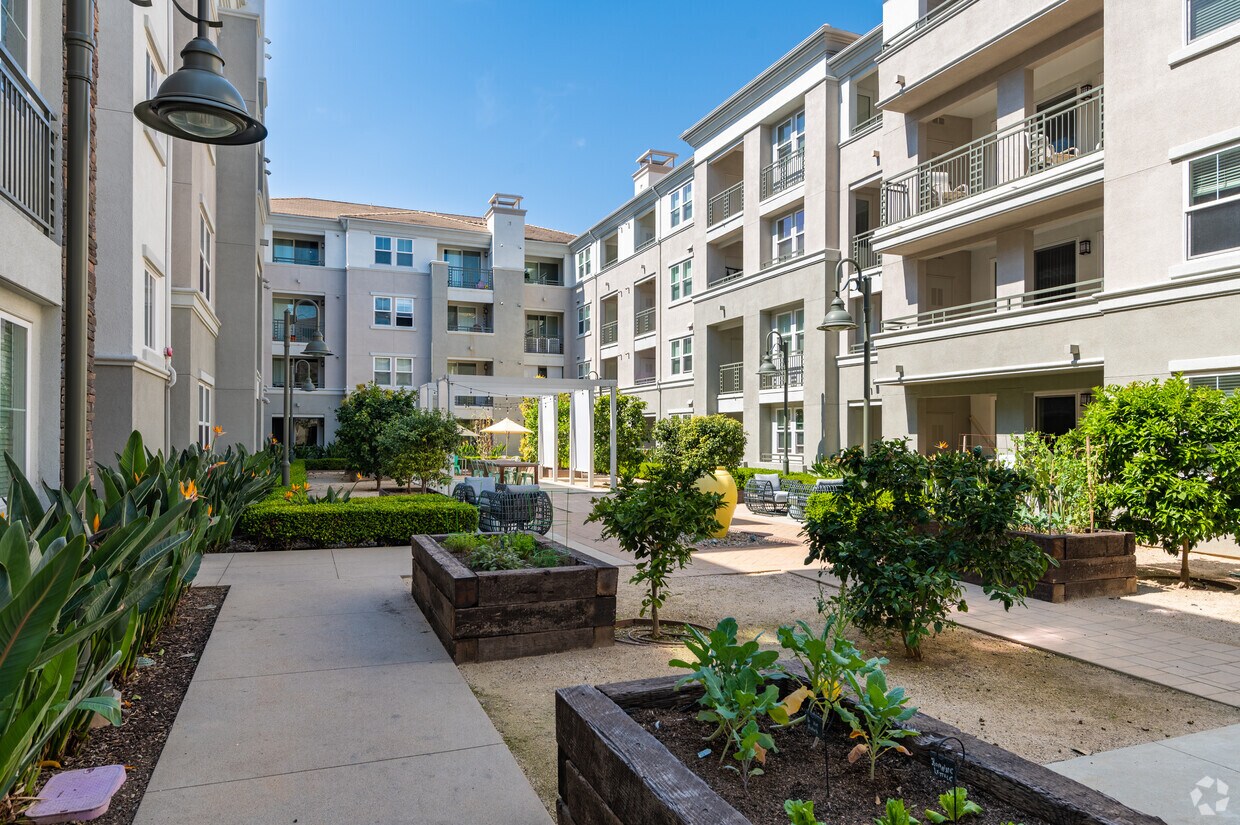 Main Street Village Irvine Floor Plans | Floor Roma