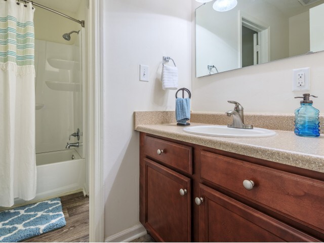 Tree Top Apartments - Raleigh, NC | Apartment Finder