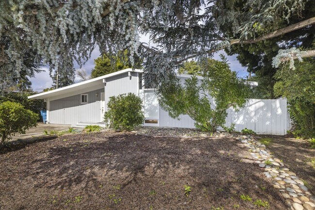 Well Maintained 4 Bed, 2 Bath Home in Duve... - 1595 Channing Ave Palo ...