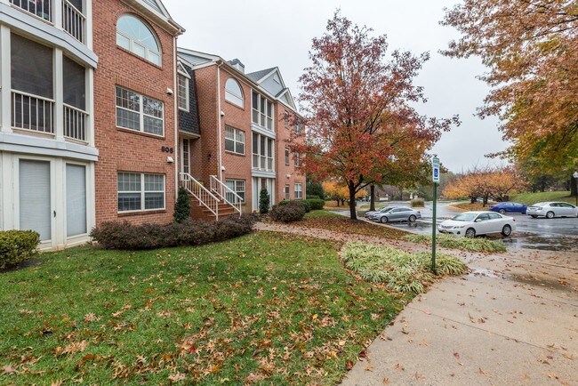 806 Amber Tree Ct - 806 Amber Tree Ct Gaithersburg MD 20878 | Apartment ...