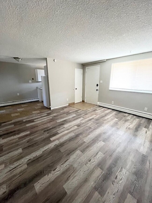 Beautiful one bedroom in a central location! - 1804 E La Salle St ...