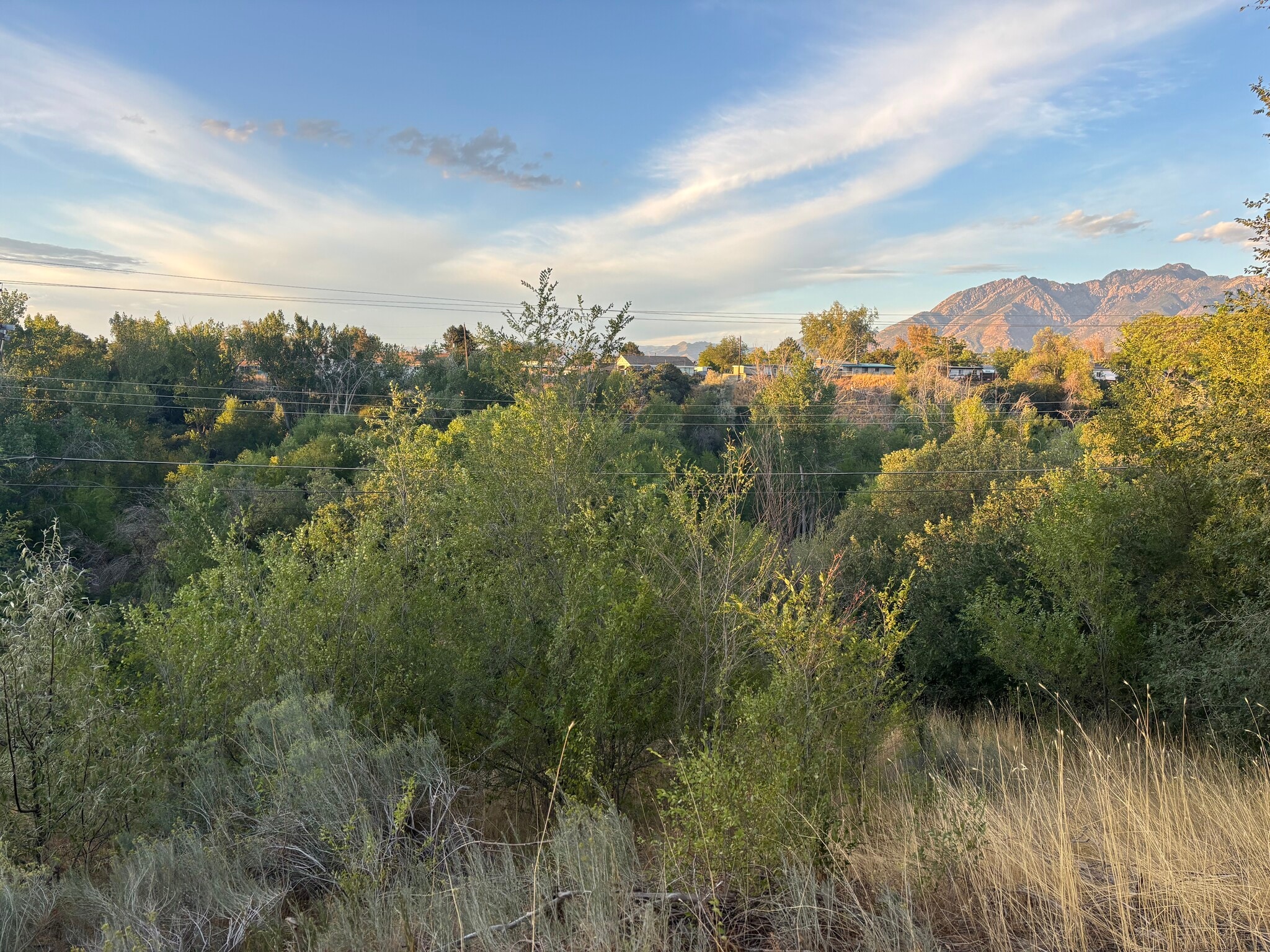 739 E Carnation Dr - 739 E Carnation Dr Sandy UT 84094 | Apartment Finder
