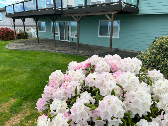 180 Coral Dr - 180 Coral Dr Sequim WA 98382 | Apartment Finder
