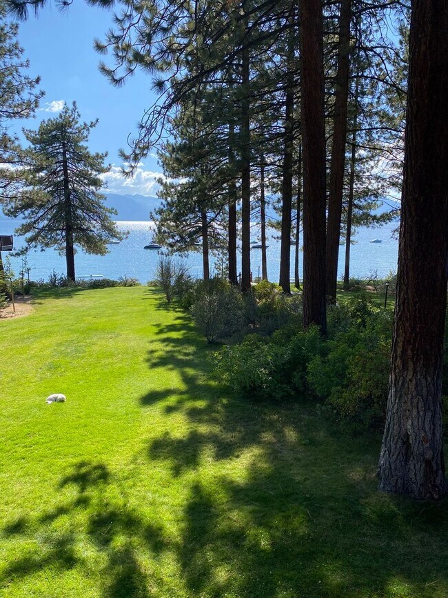 Large Lakefront Condo - 600 Highway 50 Zephyr Cove NV 89448 | Apartment ...