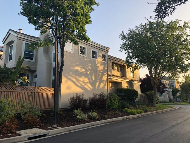 835 Corriente Point Dr - 835 Corriente Point Dr Redwood City CA 94065 ...