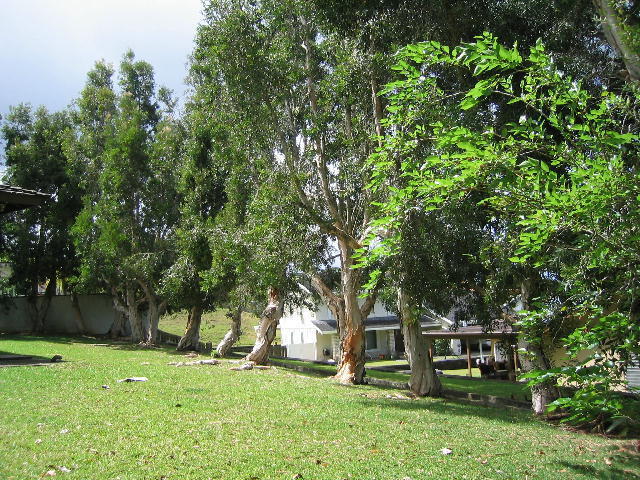 HAIKU PARK - Kalali Pl. 3/2/2+den, deck, y... - 46-173-173 Kalali Pl ...