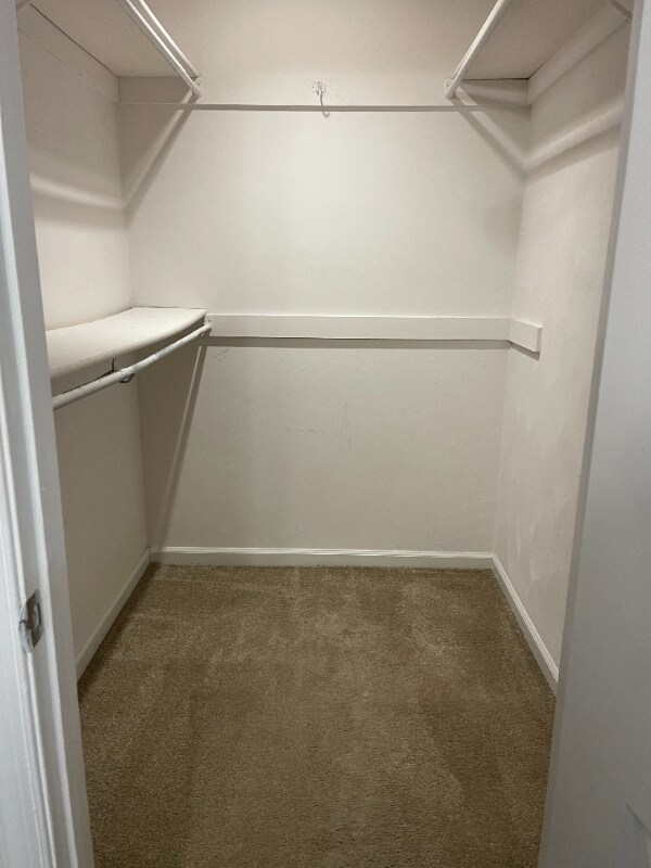 4741 Woods Edge Rd - 4741 Woods Edge Rd VIRGINIA BEACH VA 23462 ...