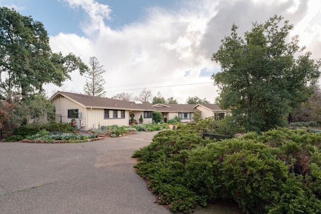 Newly Updated Sprawling Estate on One of M... - 15305 Elm Park Monte ...