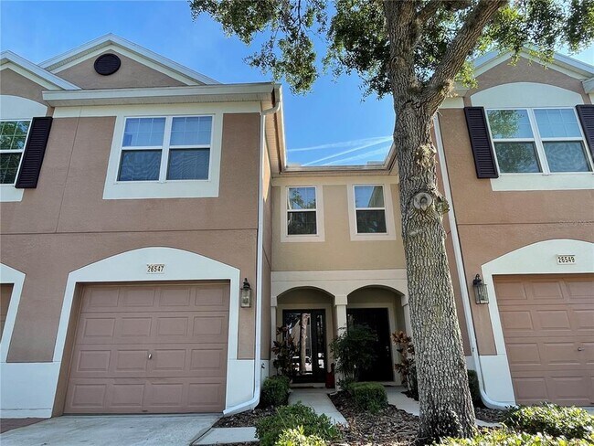 26547 Chimney Spire Ln - 26547 Chimney Spire Ln Wesley Chapel FL 33544 ...