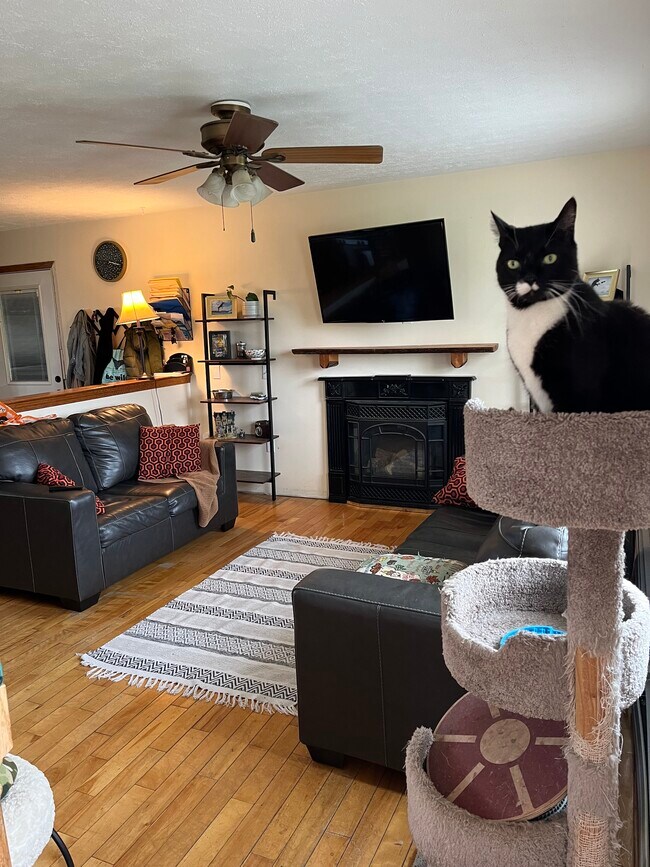 153 Pike Farm Est - 153 Pike Farm Est Swanton VT 05488 | Apartment Finder