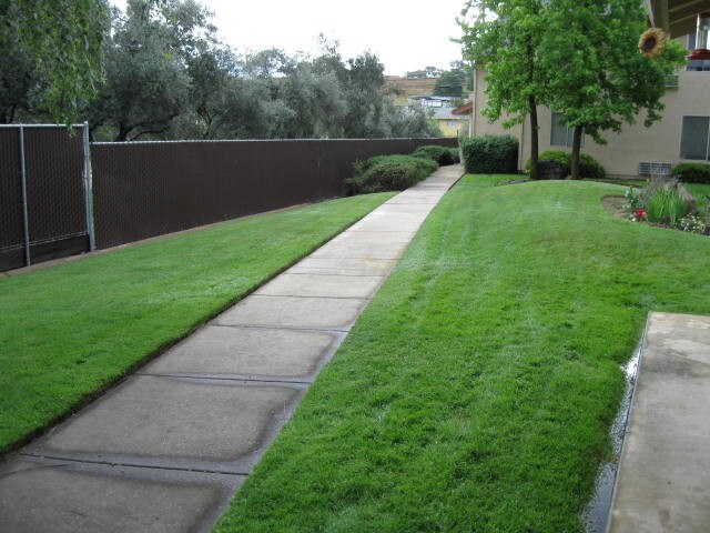 Sutter Hill Place NO AVAILABILITY-WAITLIST - 451 Sutter Hill Rd Sutter ...