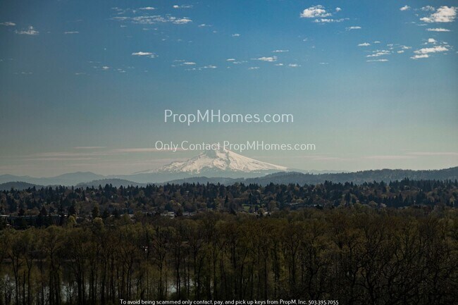 Refined Living, Reimagined with Stunning W... - 4639 S Corbett Ave ...