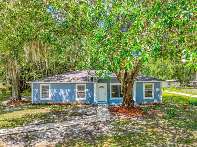 Available Now! - Beautiful 4 Bedroom Plant... - 3401 Jap Tucker Rd ...