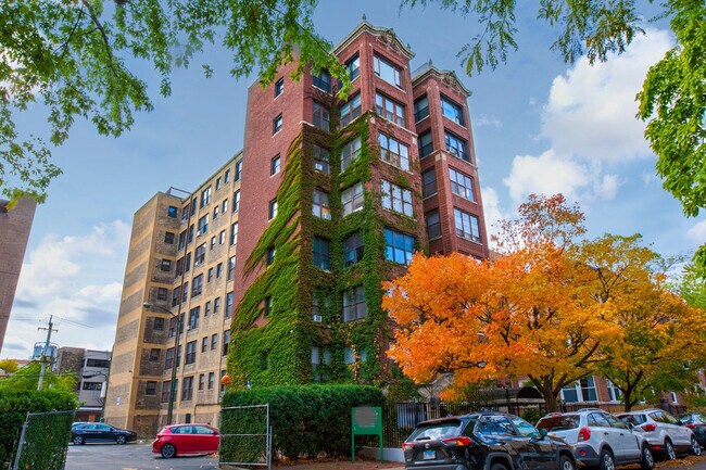 The Ivy - 941 W Carmen Ave Chicago IL 60640 | Apartment Finder