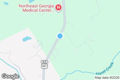 Villas at Old 441 - 772 US-441 Demorest GA 30535 | Apartment Finder